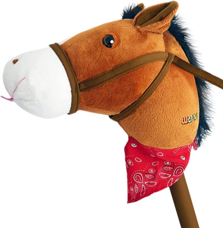What is Hobby Horsing? A Beginner’s Guide